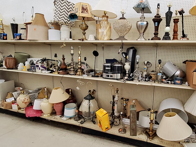 Lamp row: illuminating options from mid-century modern to "that's so quirky it works," all priced to keep your budget bright.