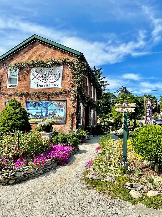 Lanthier Winery wraps itself in flowers and ivy like a gift waiting to be opened. Their garden path practically begs you to sip something local on their patio.