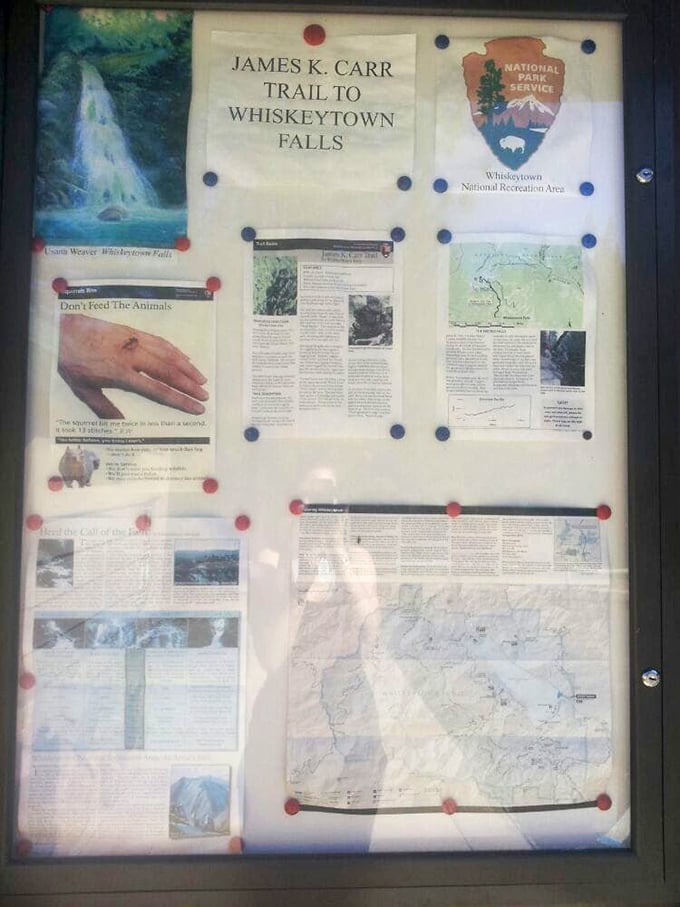 The trailhead information board—your treasure map to wilderness wonders. Study it like you once studied restaurant menus.