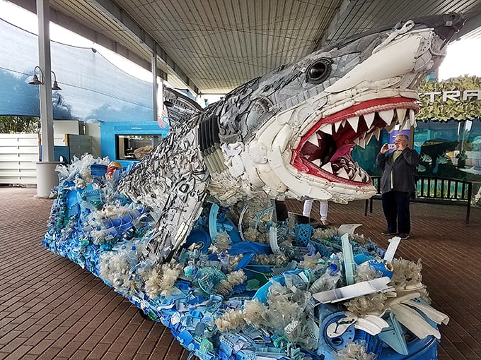 Mote Marine's recycled plastic shark sculpture delivers an environmental message with jaws—proving conservation can have serious bite.