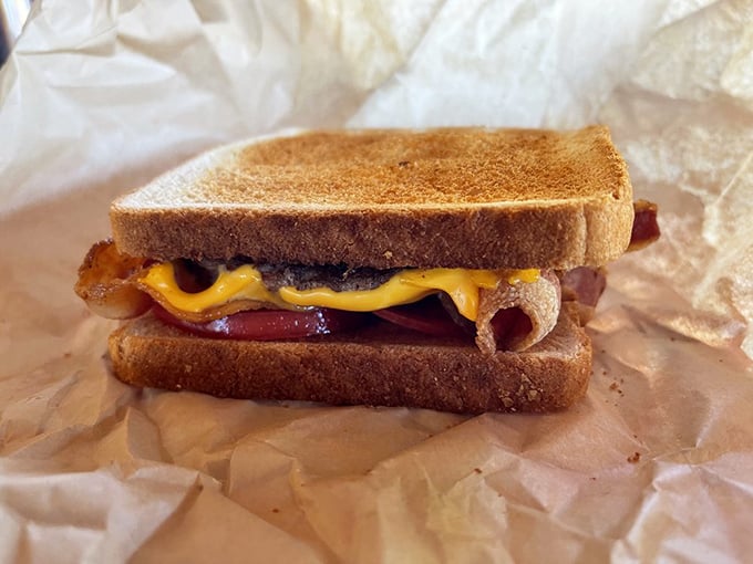 The grilled cheese sandwich – proof that sometimes the simplest combinations create the most profound happiness.