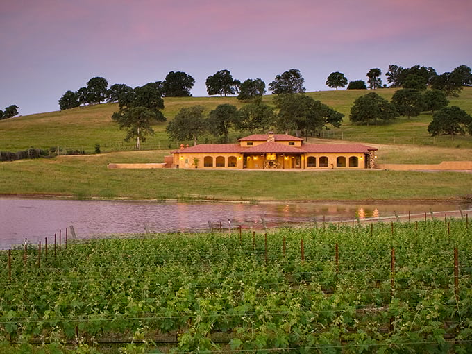 Sierra foothills vineyards produce wines with character as distinctive as the landscape – bold, surprising, and impossible to forget.