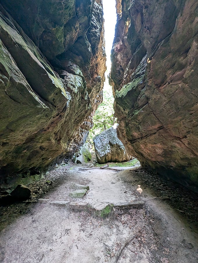 Walking through this narrow passage feels like entering Earth's own secret hallway – one that makes your childhood hideouts seem woefully unambitious.