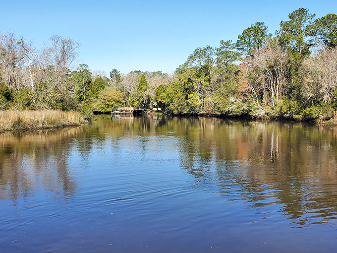 The Ashley River meanders through Summerville's landscape like a lazy Sunday afternoon, unhurried and beautiful in its Southern pace.