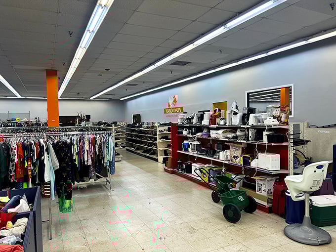 The thrifter's panorama: clothing on the left, housewares on the right, and possibility stretching as far as the eye can see.