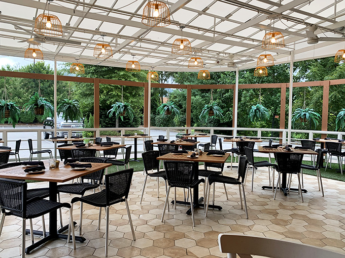 Dappled sunlight, hexagonal tiles, and greenery create an outdoor dining space that feels like a secret garden for food lovers.