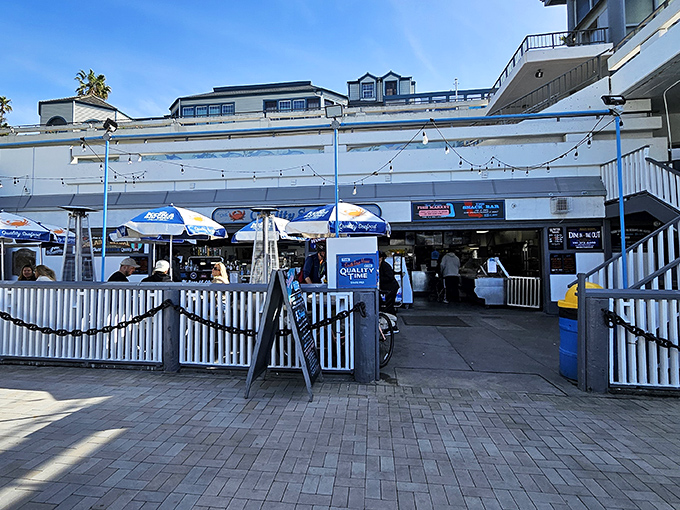 Al fresco dining with a harbor view that makes every bite taste like a vacation from ordinary life.
