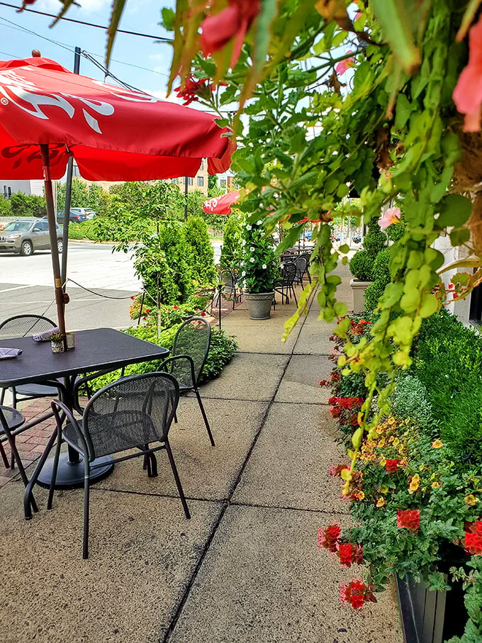 The patio doesn't just offer outdoor seating – it creates a garden sanctuary where umbrellas and flowers conspire to make you forget you're in the city.