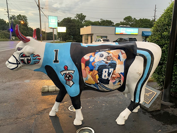 Even the cow outside dresses for the occasion, sporting Tennessee Titans colors—because in Nashville, team spirit pairs with everything.