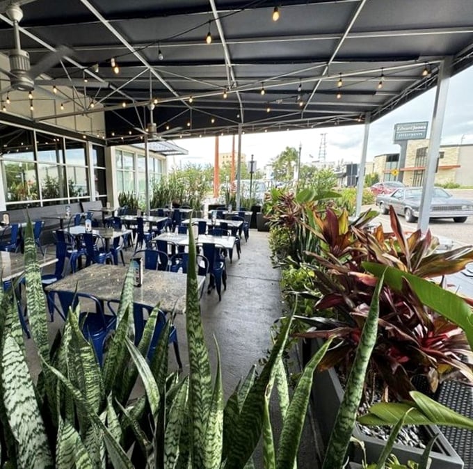 Outdoor seating surrounded by lush Florida greenery—where fresh air and fresh food create the perfect recipe for dining bliss.