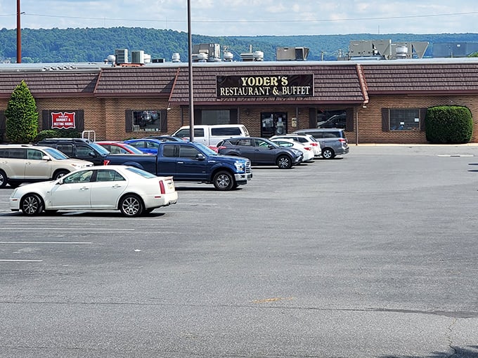 The packed parking lot tells you everything you need to know – when locals fill a restaurant this consistently, you've found the real deal.