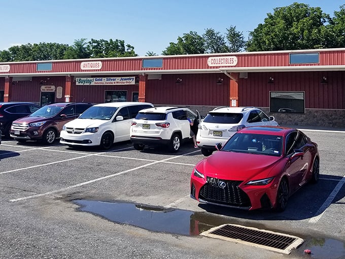 Even the parking lot tells a story – modern cars waiting while their owners step back in time. The contrast between sleek vehicles and vintage treasures couldn't be more perfect.