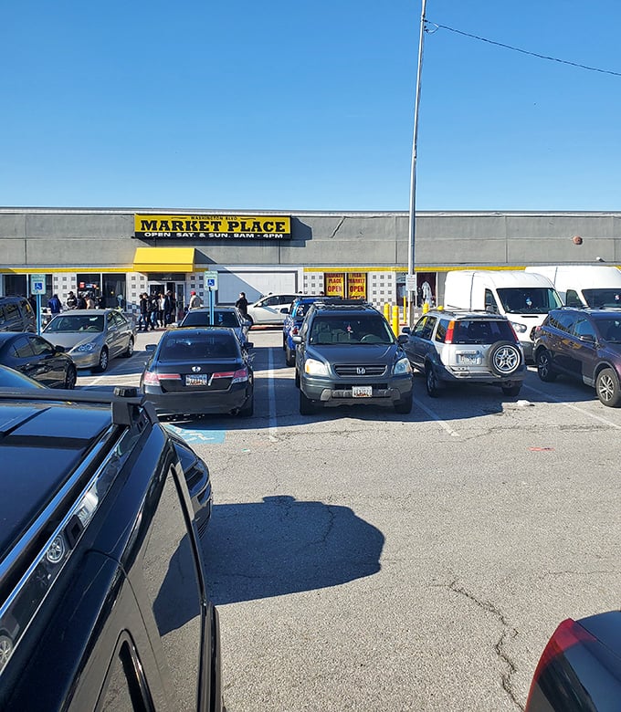 Even the parking lot buzzes with anticipation as shoppers prepare for their bargain hunting adventures.