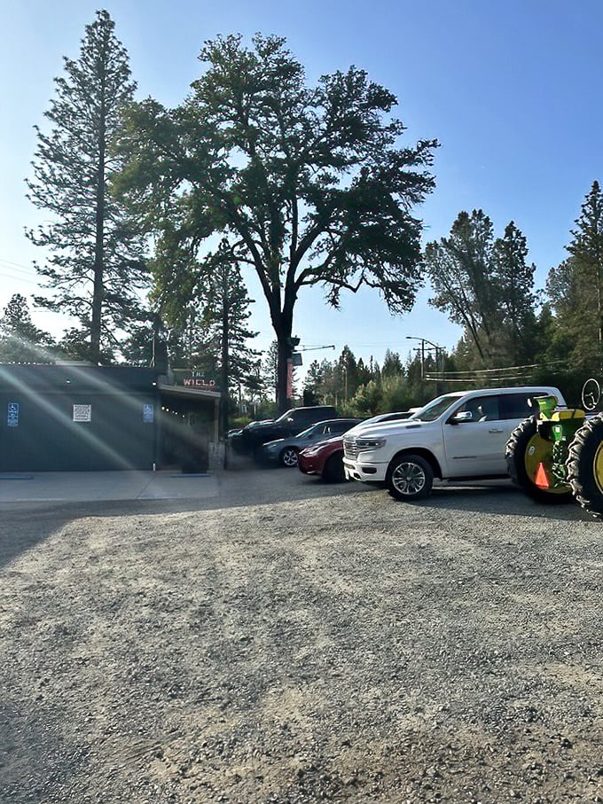 The gravel parking lot, where luxury SUVs park alongside muddy pickups, proves great steak is the ultimate social equalizer.