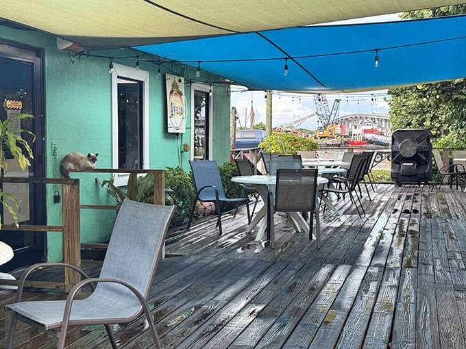 The weathered deck offers al fresco dining with a side of sea breeze – and occasionally a neighborhood cat supervisor.