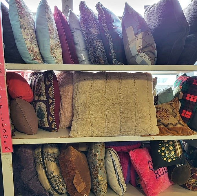 Decorative pillows create a cozy comfort zone where home décor dreams meet wallet-friendly reality and style.