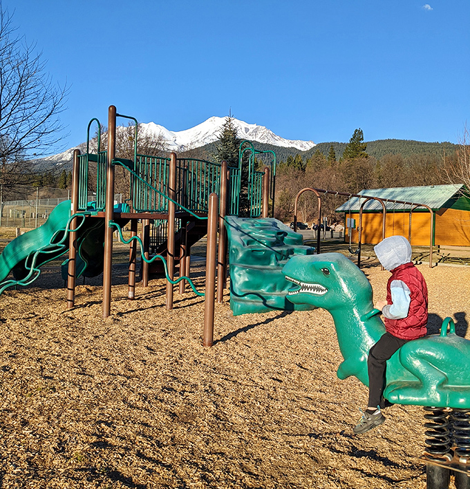 Even the playground dinosaurs seem to appreciate their prime real estate, offering kids the rare chance to play beneath a snow-capped giant.