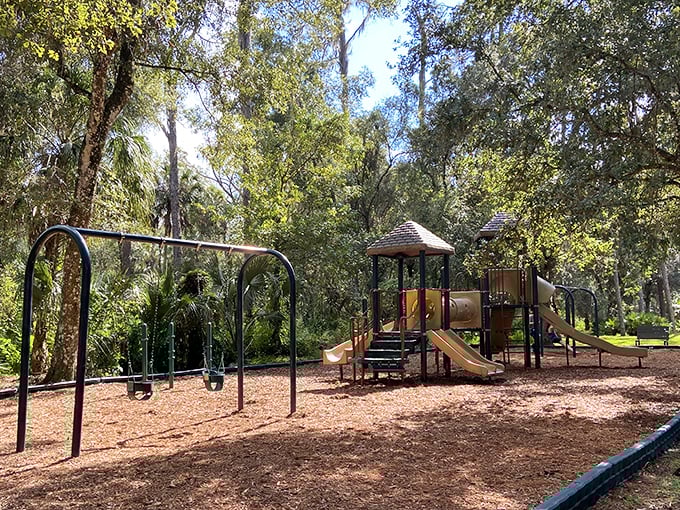 A playground where kids can burn energy while parents pretend they're not secretly eyeing the swings for themselves.