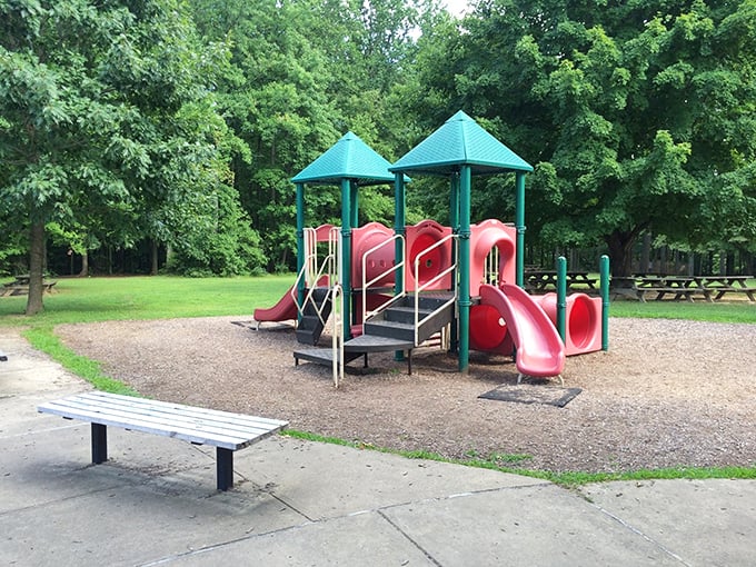 Playground physics: where potential energy transforms into childhood joy and parental moments of peace. Slides engineered for maximum giggles.