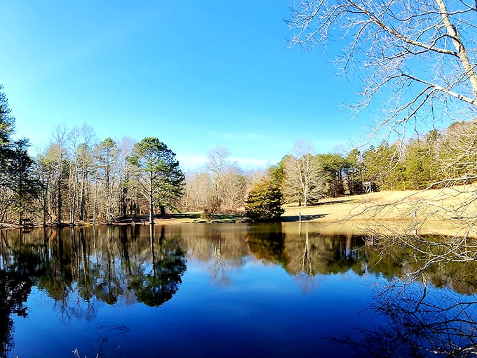 Mirror, mirror on the pond – the still waters create perfect reflections of the surrounding forest in this peaceful corner of the park.