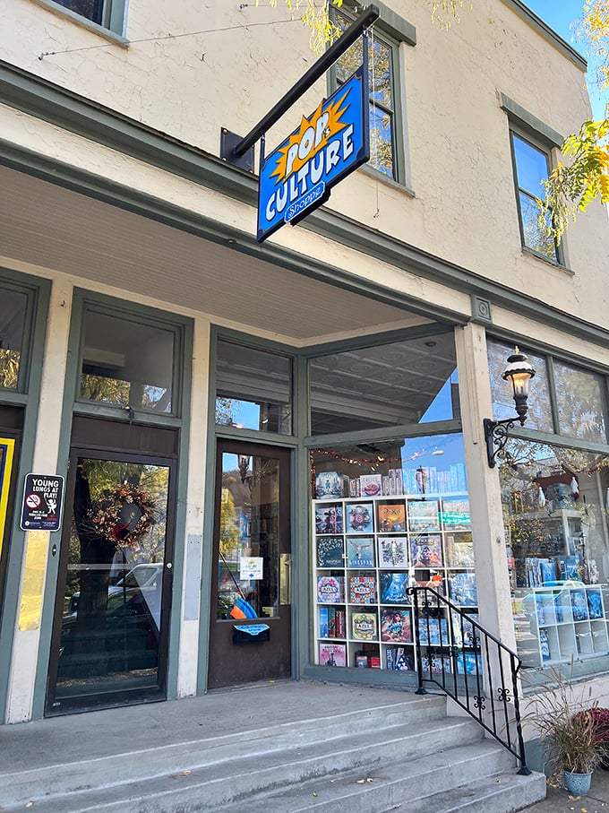 Pop's Culture Shoppe brings nostalgic joy to collectors young and old. This isn't just retail therapy—it's a museum where you can take the exhibits home.