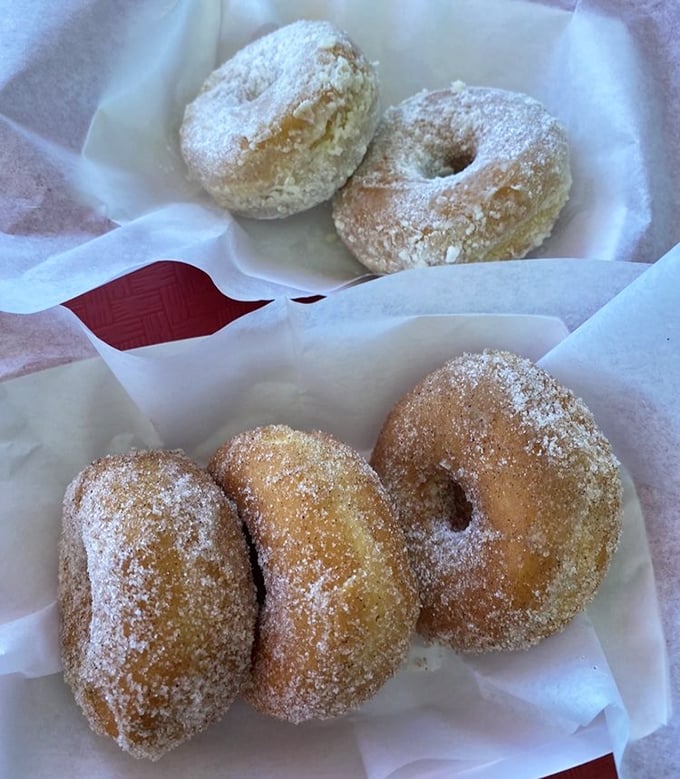 These sugar-dusted donuts aren't just dessert – they're the final act in a comfort food performance that deserves a standing ovation.