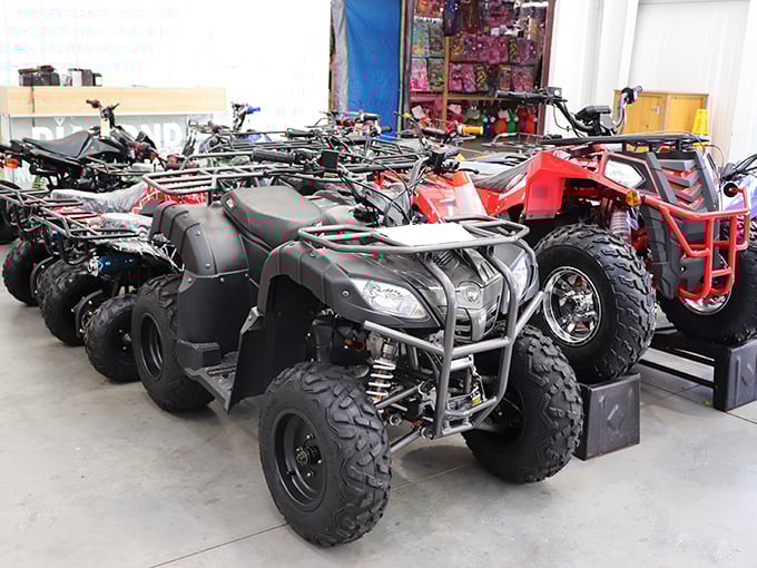 Adventure machines lined up like a showroom for weekend warriors. These ATVs aren't just transportation—they're freedom on four wheels with attitude.