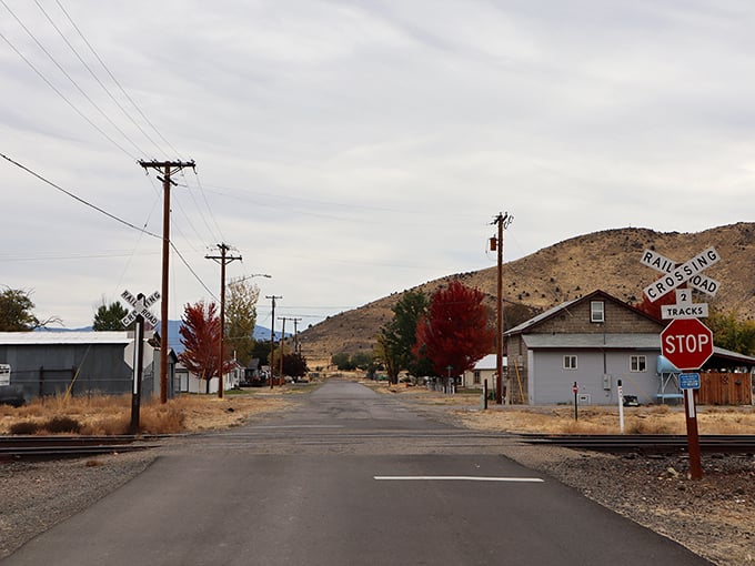 Railroad crossings in Montague aren't just traffic signals—they're reminders of the iron horses that once determined whether towns would boom or bust.