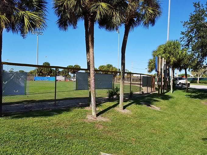 Palm trees stand guard over community sports fields, where Florida's perfect weather turns everyday recreation into a luxury northern states can only dream about.