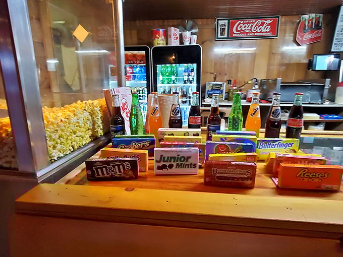 Concession stand nirvana—where Junior Mints and Butterfingers meet fresh popcorn in a display case of perfectly acceptable dinner substitutes.