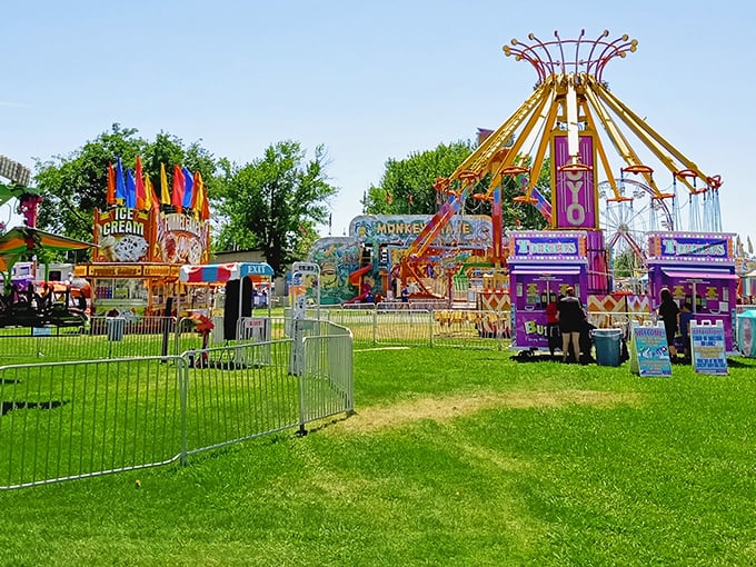 The Shasta District Fair brings carnival magic to Anderson, proving that some thrills still can't be replicated in virtual reality.