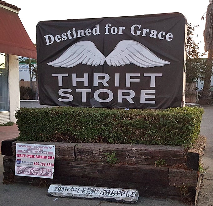 The iconic winged logo promises salvation for both your wallet and your wardrobe—thrift shopping with a higher purpose.
