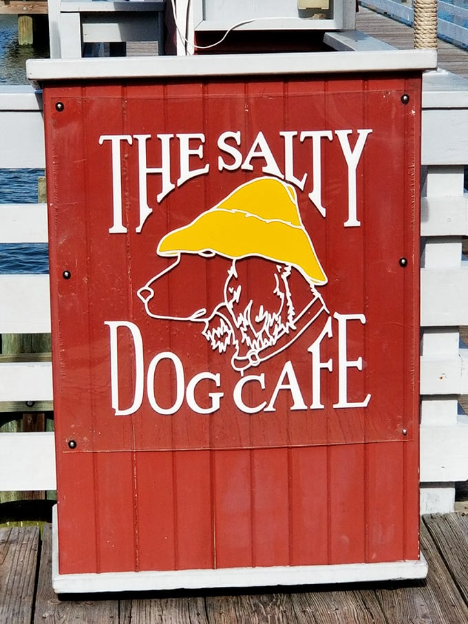That famous yellow-hatted pup isn't just a logo – he's the maritime mascot who's silently judging your seafood ordering skills.