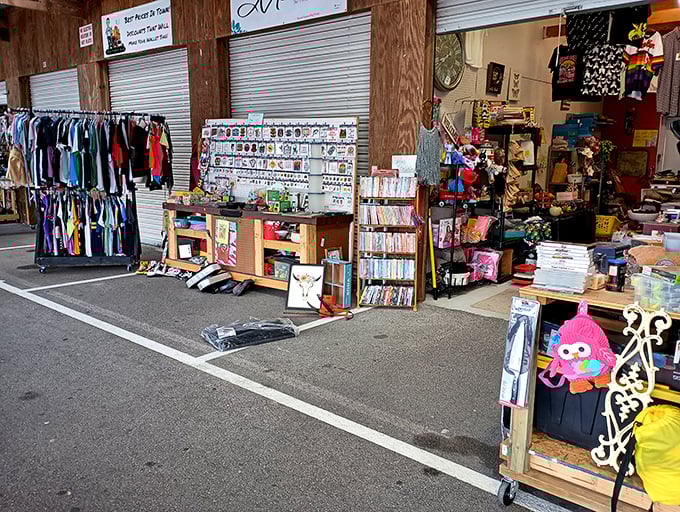 Organized chaos at its finest—where clothing, DVDs, and random treasures create the perfect storm of "I didn't know I needed this until right now."