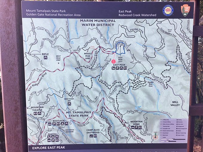 The park map reveals a spider web of possibilities—each trail a different story waiting to be written with your hiking boots.