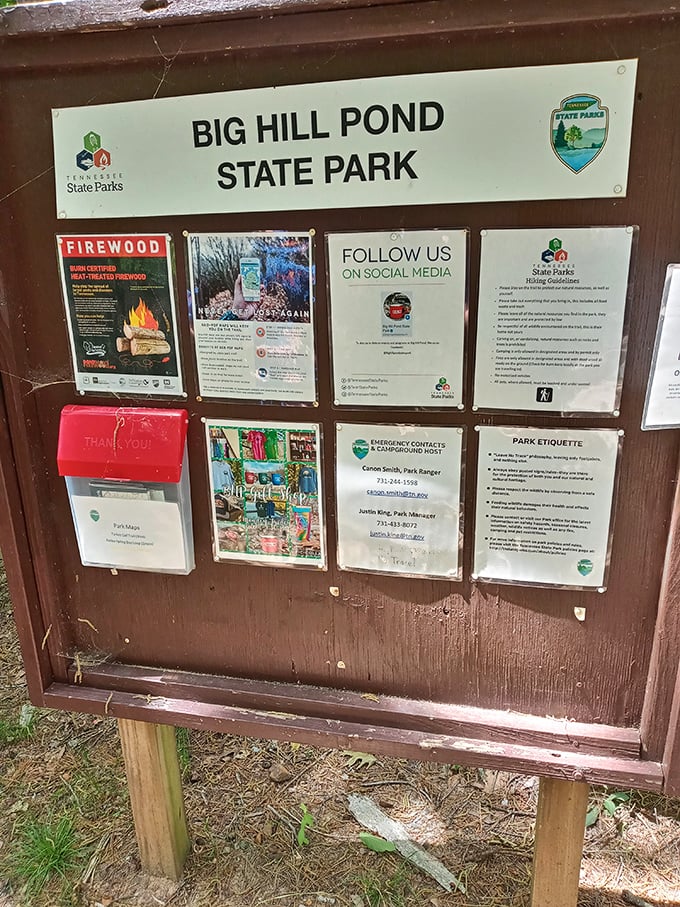 The information board—where adventure begins and getting lost becomes a choice rather than an inevitability. The park ranger's version of a restaurant menu.