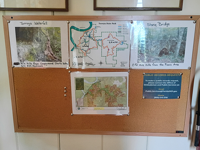 Adventure planning central. These maps don't have a "You Are Here" dot that follows you—you'll need actual navigation skills.