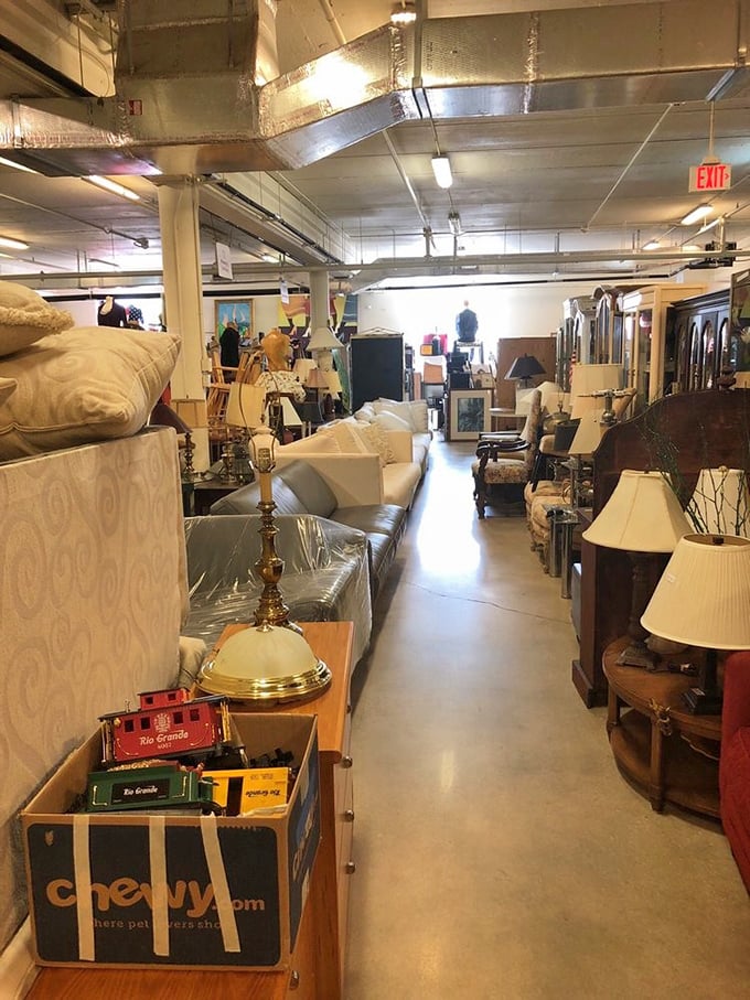 The furniture aisle: where sofas, lamps, and side tables patiently wait for their second act in your home. Interior designers' secret weapon hiding in plain sight.