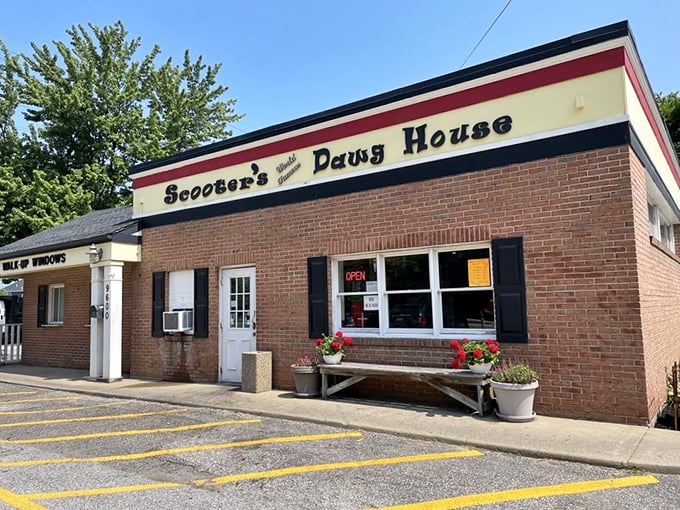 The humble exterior belies the flavor explosions waiting inside—like finding a treasure chest disguised as a shoebox.
