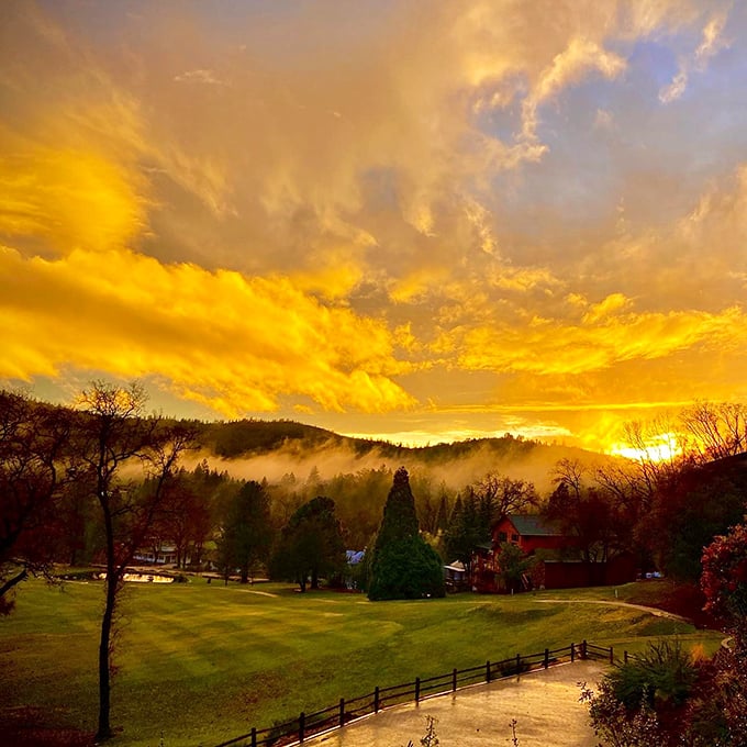 Groveland sunsets paint the sky in Technicolor brilliance, turning ordinary golf course views into moments worthy of framing.