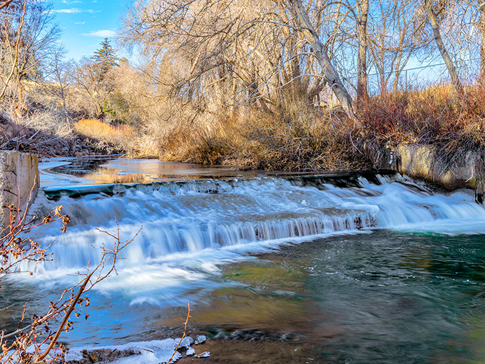 The Susan River cascades over natural steps, creating nature's own symphony—white water percussion accompanied by wind-in-pine melodies.