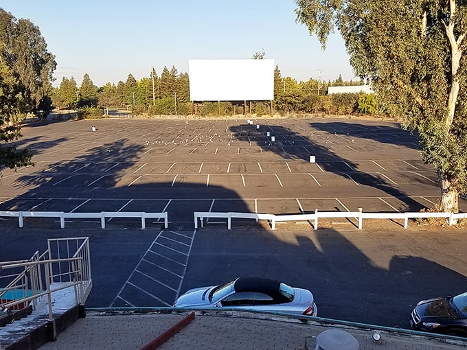 An empty lot awaiting its nightly transformation. By sunset, this asphalt canvas will become a patchwork of blankets, lawn chairs, and anticipation.