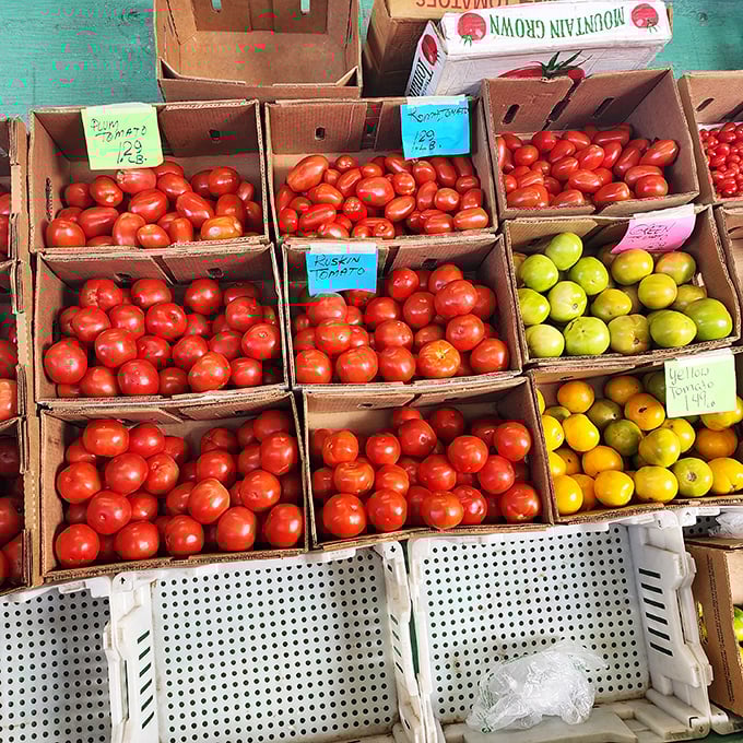 Farm-fresh tomatoes arranged in tidy boxes bring a farmer's market feel. Nothing completes a flea market experience like taking home local produce.