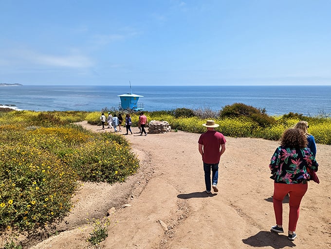 The path less traveled leads to coastal treasures. Visitors make their pilgrimage through fields of wildflowers toward El Matador's hidden coves.
