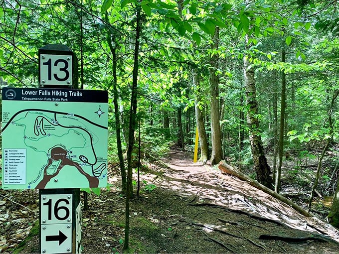 Trail markers: the original GPS system for hikers who prefer their directions without a robotic voice saying "recalculating."