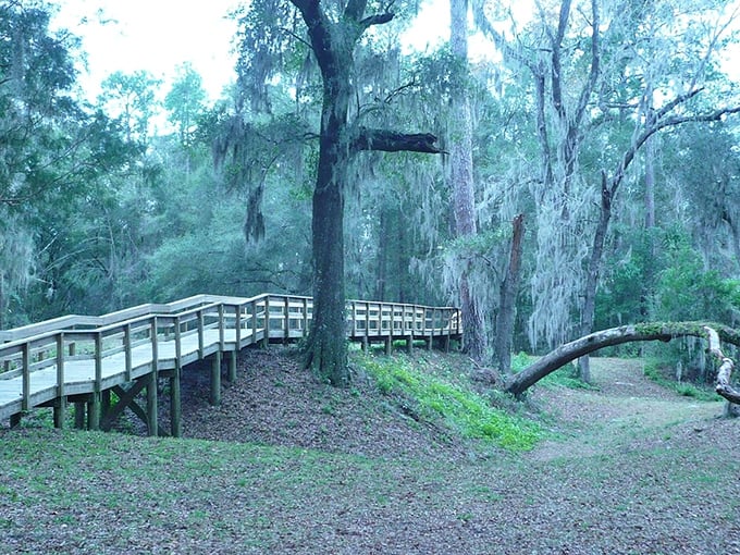 Wooden walkways guide you through cypress forests without disturbing nature's careful arrangements. These trails offer front-row seats to Florida's original architecture—no ticket required.