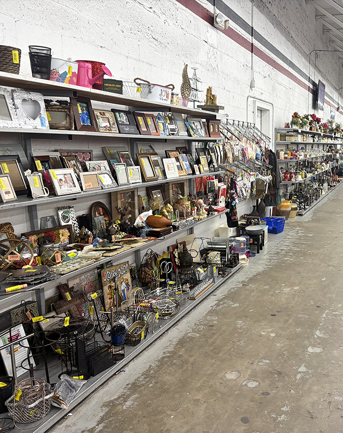 Random treasures create a delightful chaos - you never know what unexpected gem will catch your eye.