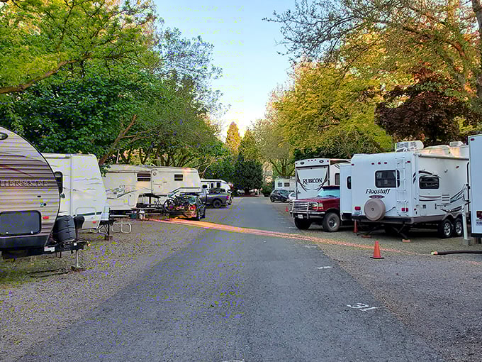 Waiiaka RV Park welcomes road warriors with tree-lined lanes and mountain views. Your home-on-wheels never had such a picturesque parking spot.