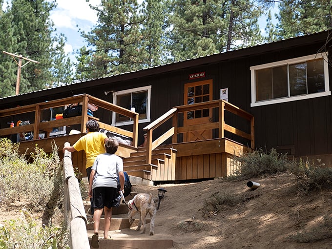Cabin living at its finest—where rustic charm meets practical mountain design, and every porch offers a front-row seat to nature's show.