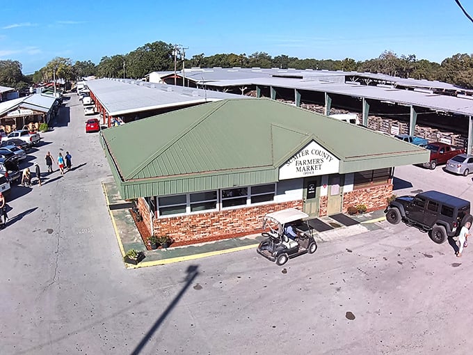 From above, the Sumter County Farmers Market reveals its impressive scale—a treasure-hunting playground that would make Indiana Jones jealous.
